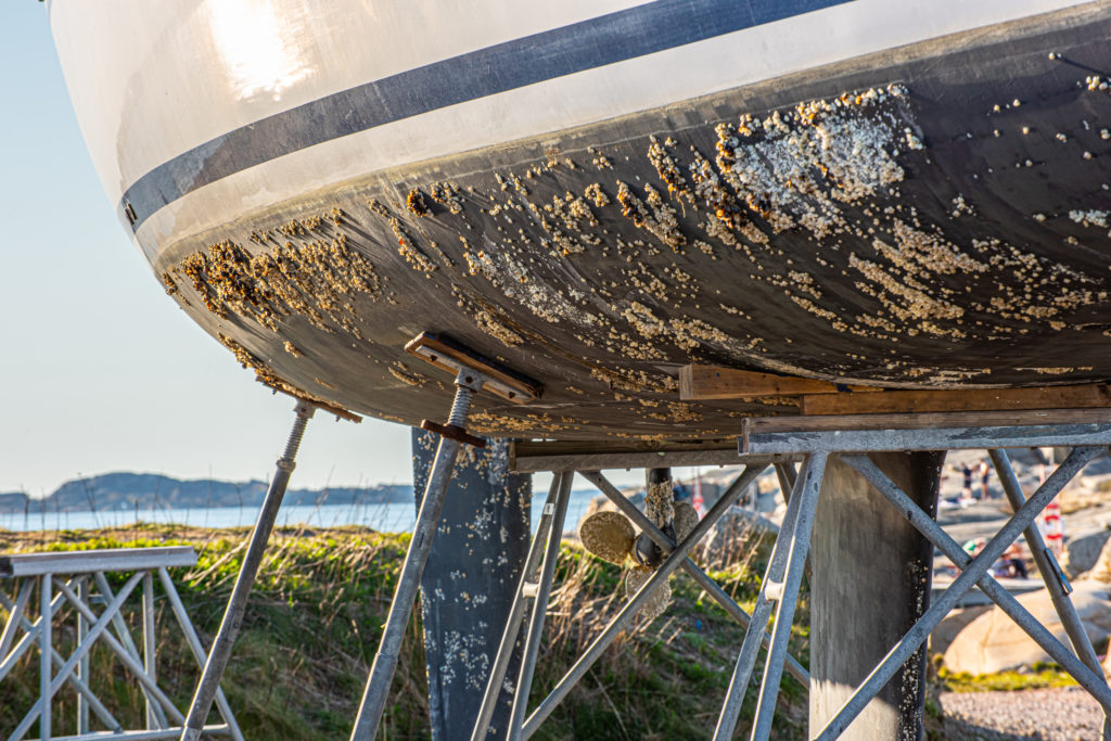 Le biofouling, un point d'attention pour les bateaux de plaisance ...